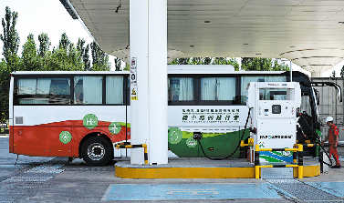 Hydrogen Energy Exports Surge On Green Drive, Industrial Cluster Effect ...